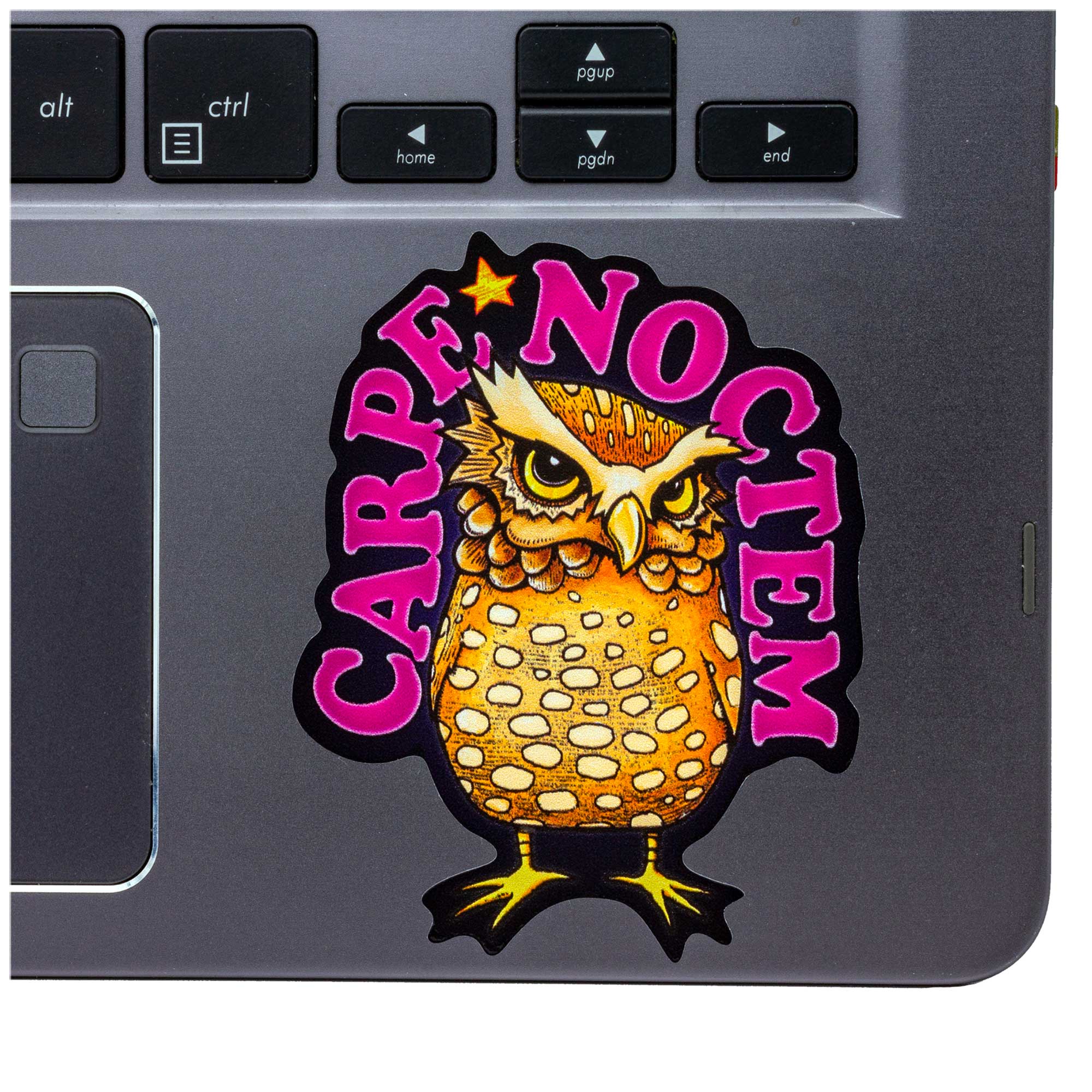 Carpe Noctem Sticker, 2.75 x 3.5 inches, Free USA Shipping